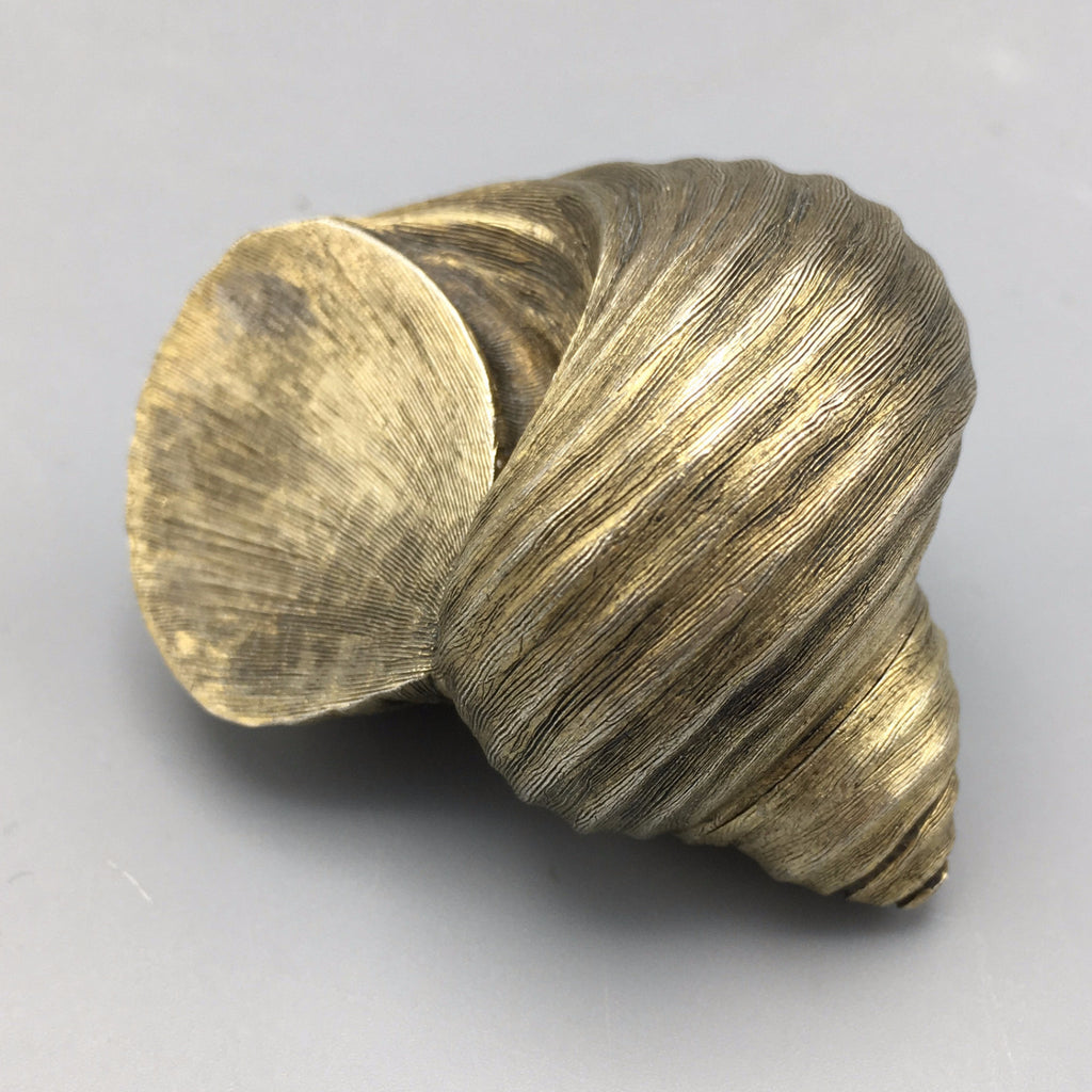 Janna Thomas Sterling Silver Sea Shell Box – WHISTLE