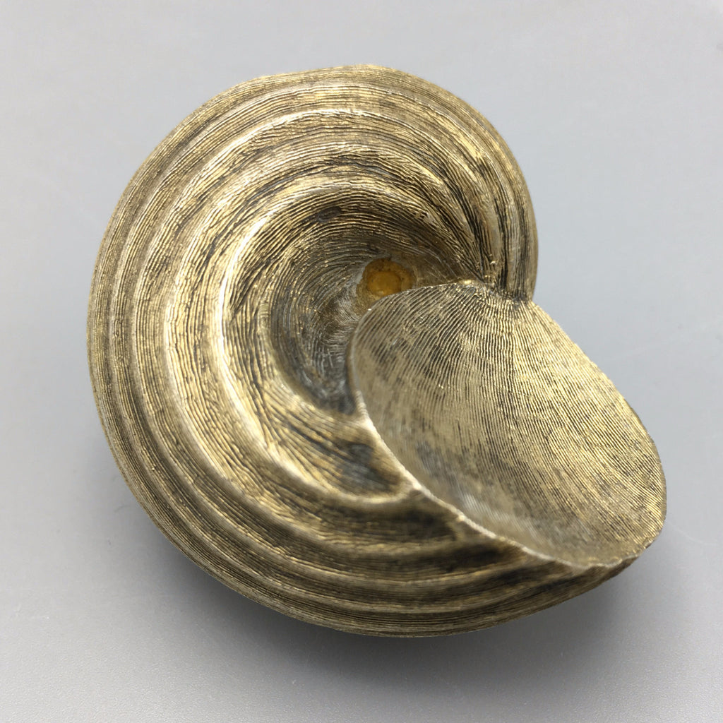 Janna Thomas Sterling Silver Sea Shell Box – WHISTLE