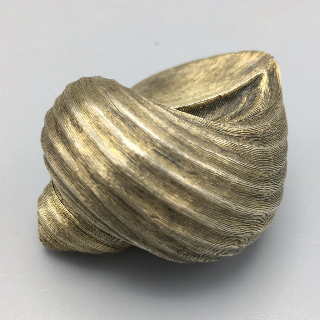 Janna Thomas Sterling Silver Sea Shell Box – WHISTLE