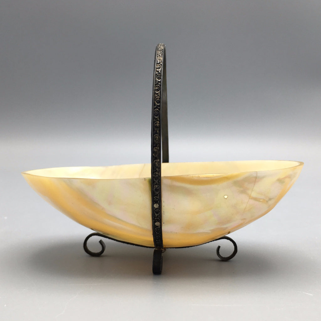 Hand Carved Nautilus Shell Basket with Silver Fixtures – WHISTLE
