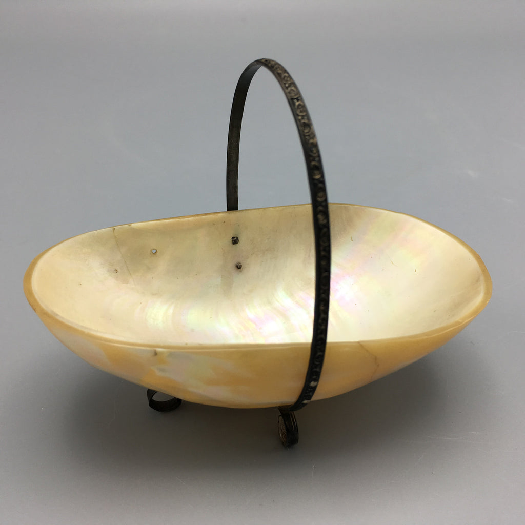 Hand Carved Nautilus Shell Basket with Silver Fixtures – WHISTLE